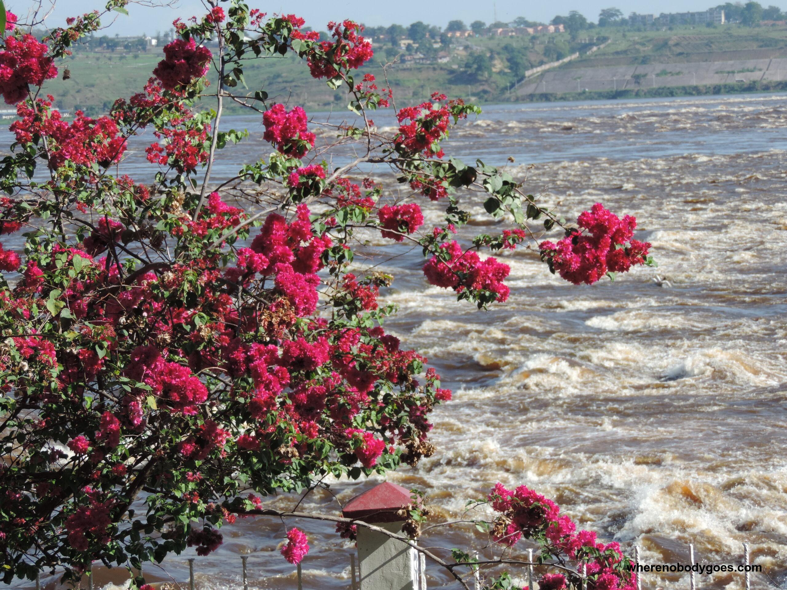 Congo-Brazzaville Blaze – Where Nobody Goes